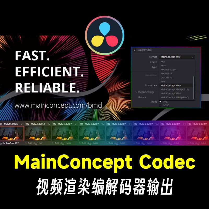 视频渲染编解码器输出工具 MainConcept Codec Plugin for DaVinci Resolve v1.7.1 Win/Mac破解版【达芬奇插件】 - 思酷素材(sskoo.cn)